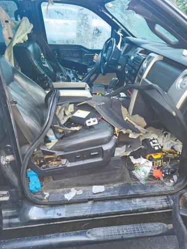 Bear gets locked in car, shreds interior | Top Stories | thesylvaherald.com