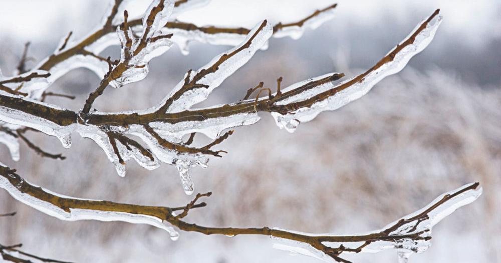 Protecting your home from winter’s bite | News | thesylvaherald.com