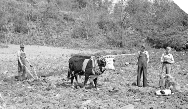 2007 Then & Now / Back Then | Photo Galleries | thesylvaherald.com