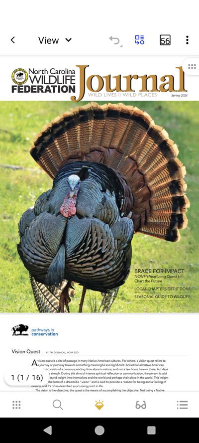 Local turkey, shutterbug make magazine cover | Farm News | thesylvaherald.com