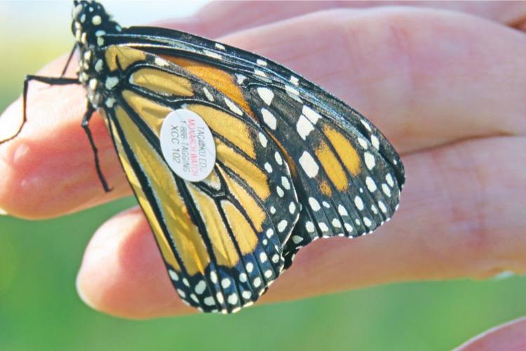 An epic journey documented | News | thesylvaherald.com