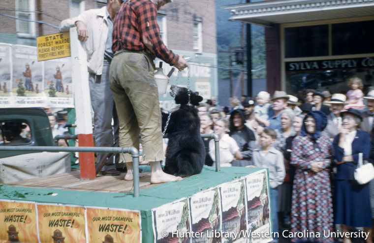 Color centennial photos | Photo Galleries | thesylvaherald.com