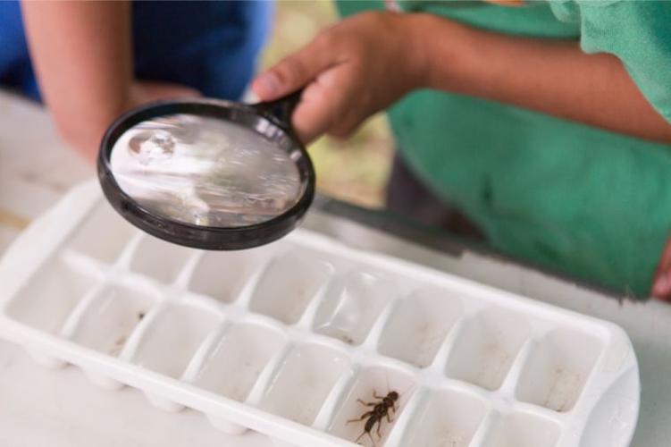Cherokee Fish Weir Workshop - June 17, 2013 | Photo Galleries ...
