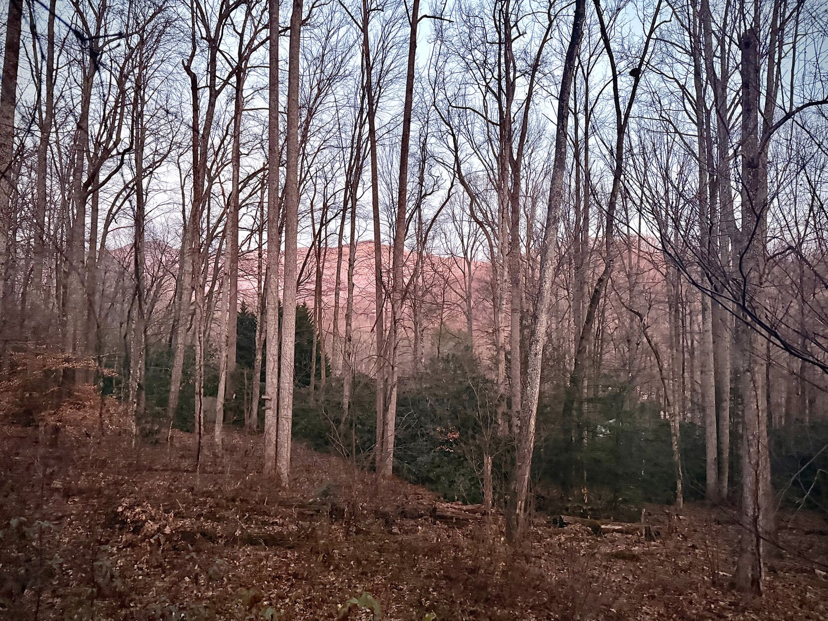 Garden planning prevents erosion | Farm News | thesylvaherald.com