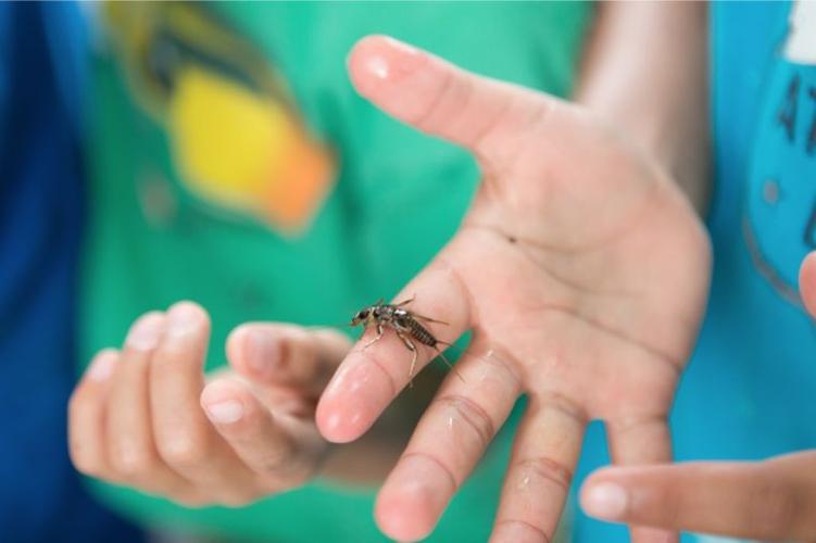 Cherokee Fish Weir Workshop - June 17, 2013 | Photo Galleries ...