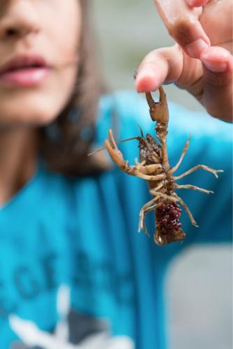 Cherokee Fish Weir Workshop - June 17, 2013 | Photo Galleries ...