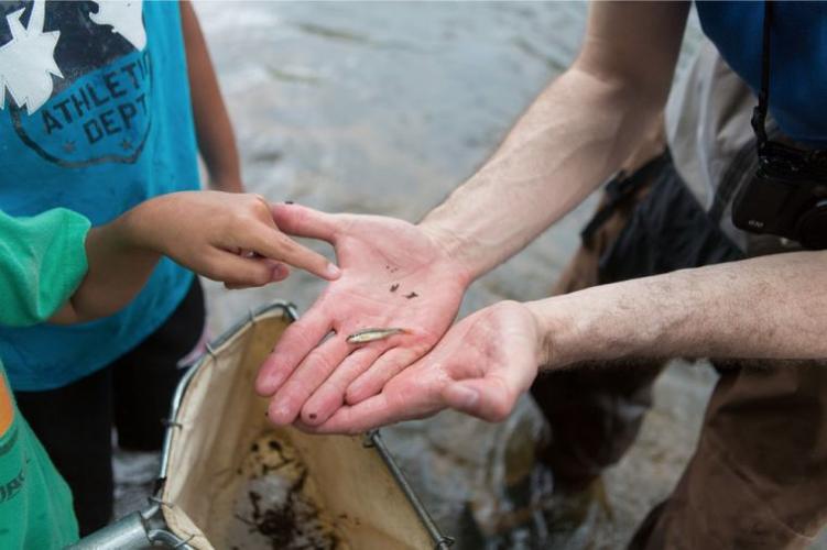 Cherokee Fish Weir Workshop - June 17, 2013 | Photo Galleries ...