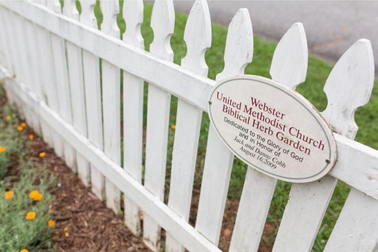 Gardens at Webster Methodist are open to community | News ...