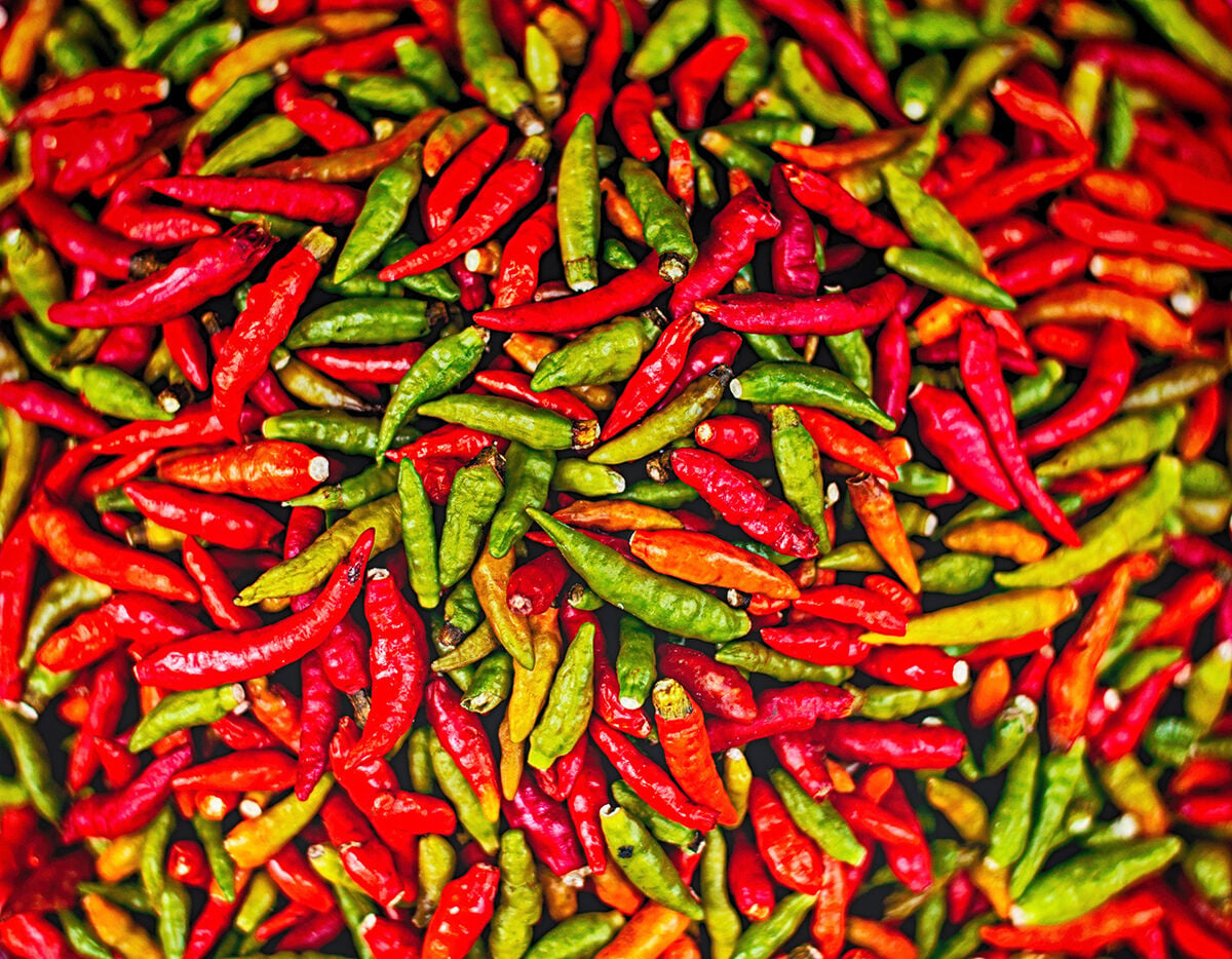 The science of spice and pepper predator protection | Farm News ...
