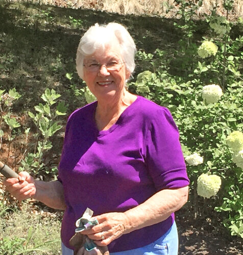 Barbara Fulmer | Obituaries | thesylvaherald.com