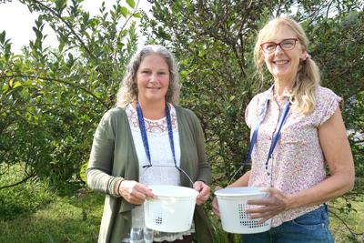 Farm School to teach the business side of agriculture | Farm News ...