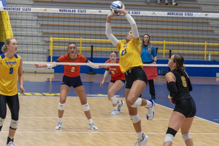MSU volleyball is close to hosting the OVC | News ...