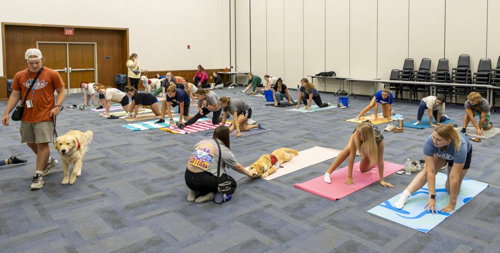 Dog Yoga comes to campus | Life & Arts | thetrailblazeronline.net