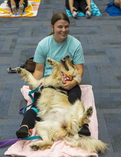 Dog Yoga comes to campus | Life & Arts | thetrailblazeronline.net