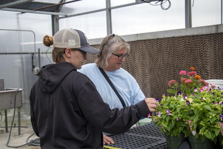 Flowers and ferns available at the MSU farm | News ...