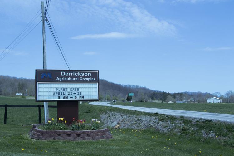 Plant sale sprouts at MSU | Life & Arts | thetrailblazeronline.net