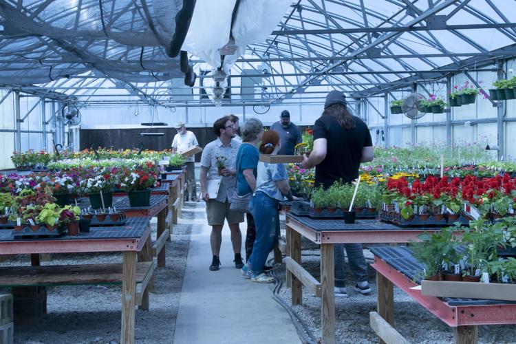 Plant sale sprouts at MSU | Life & Arts | thetrailblazeronline.net