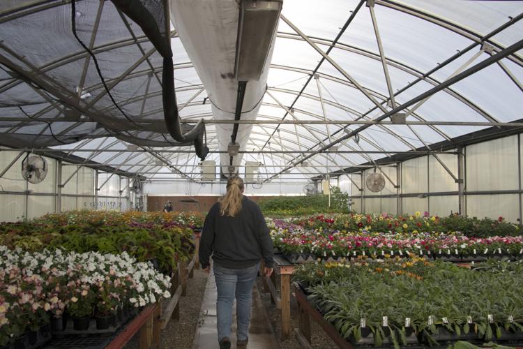 The university farm is in bloom | Life & Arts | thetrailblazeronline.net