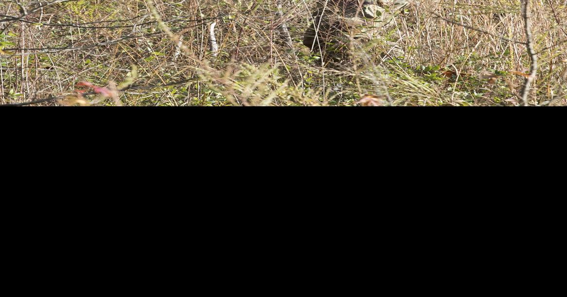 ROTC practice raid | Gallery | thetrailblazeronline.net