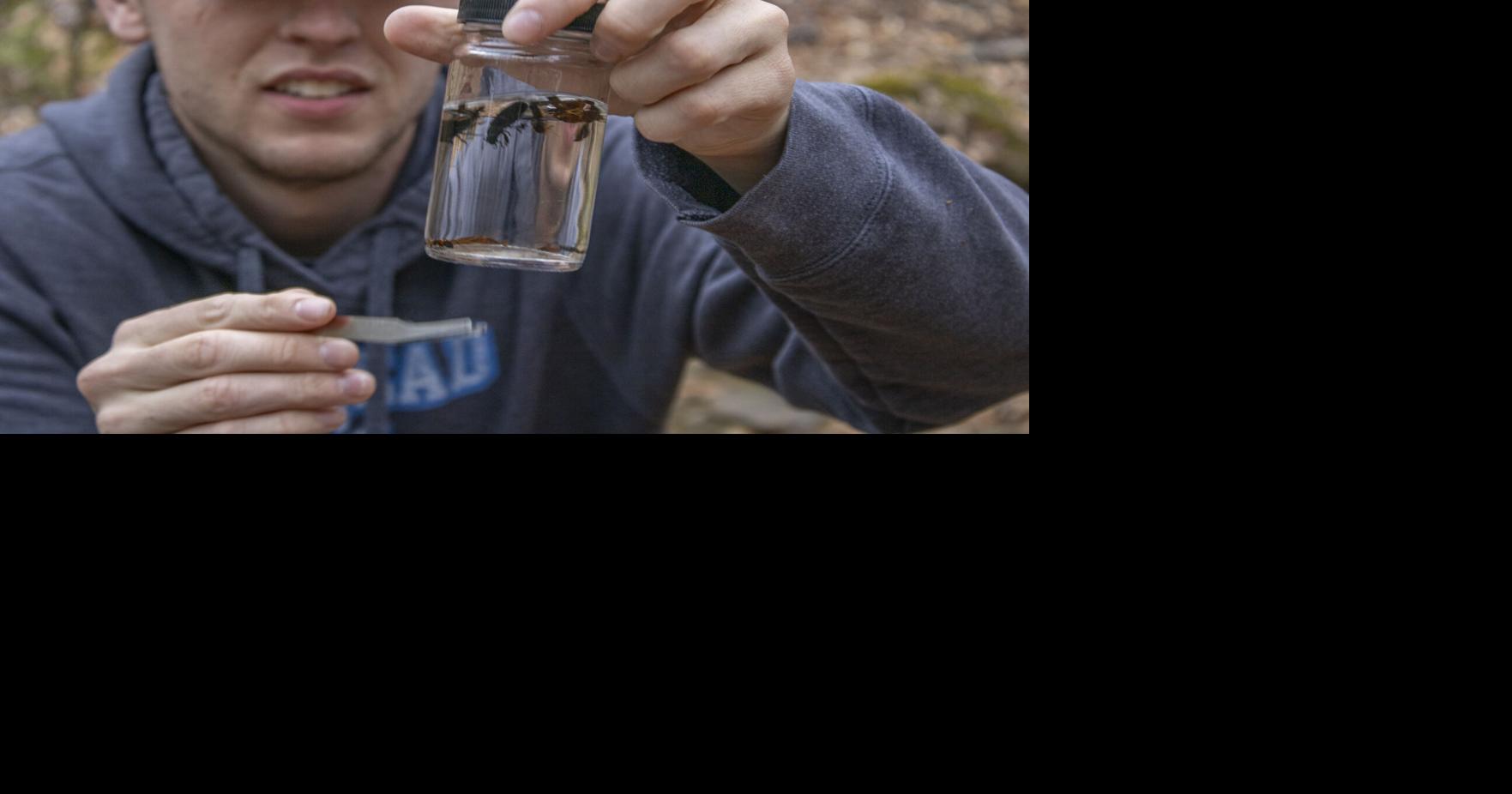 The "bug man" | News | thetrailblazeronline.net