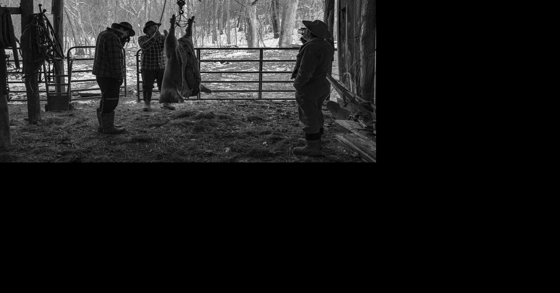 Parsons butcher hog | Gallery | thetrailblazeronline.net