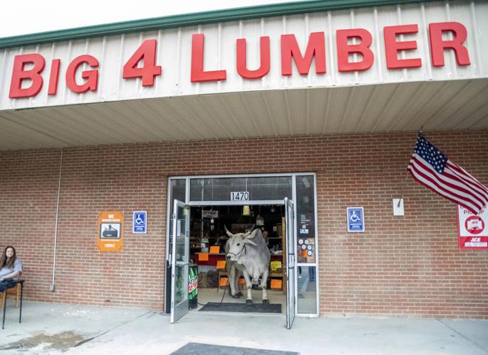 Morehead's first Stampede Pro Rodeo | Life & Arts ...