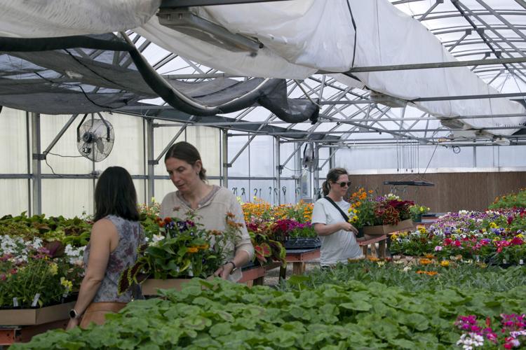 The university farm is in bloom | Life & Arts | thetrailblazeronline.net