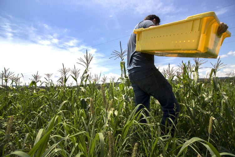 Landing on the farm | News | thetrailblazeronline.net