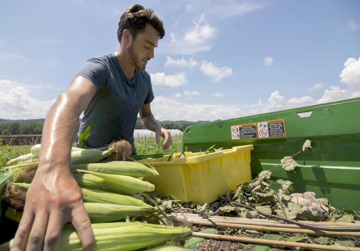 Landing on the farm | News | thetrailblazeronline.net