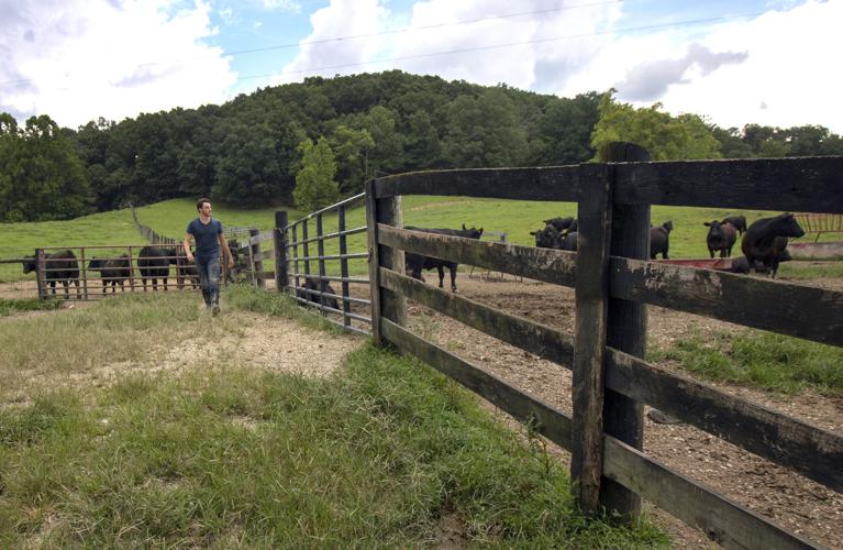 Landing on the farm | News | thetrailblazeronline.net