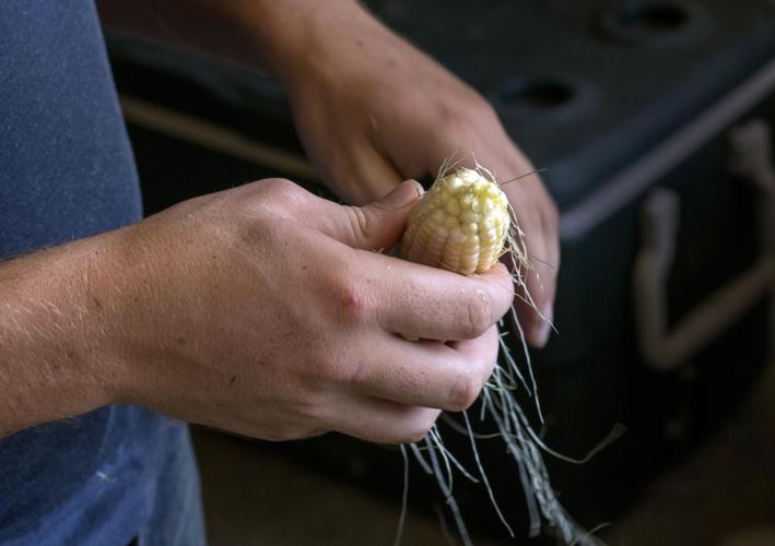 Landing on the farm | News | thetrailblazeronline.net