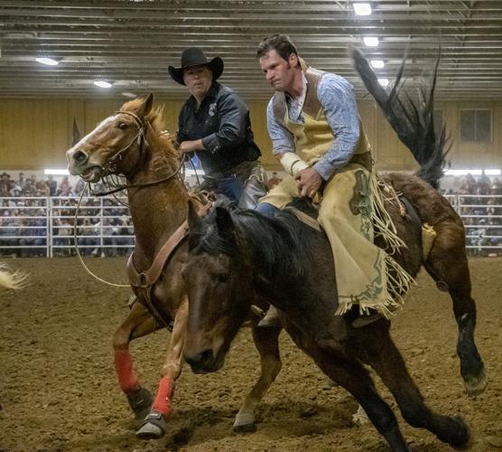 Morehead's first Stampede Pro Rodeo | Life & Arts ...
