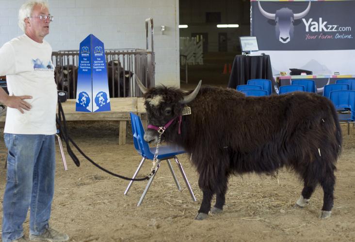 Morehead hosts the first yak expo east of the Mississippi | News ...