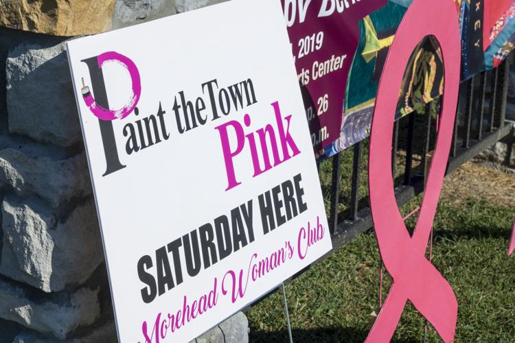Woman's Club paints the town pink for breast cancer | Life & Arts ...