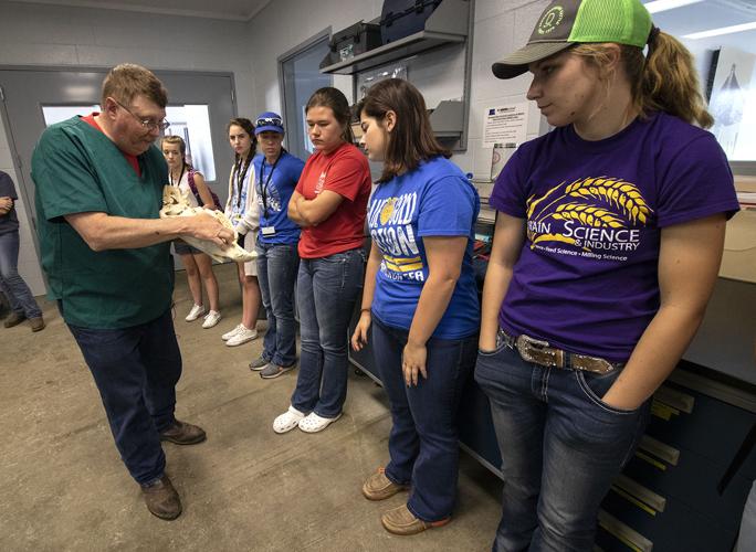 Morehead State University’s Vet Tech program ranked nationally | Life ...