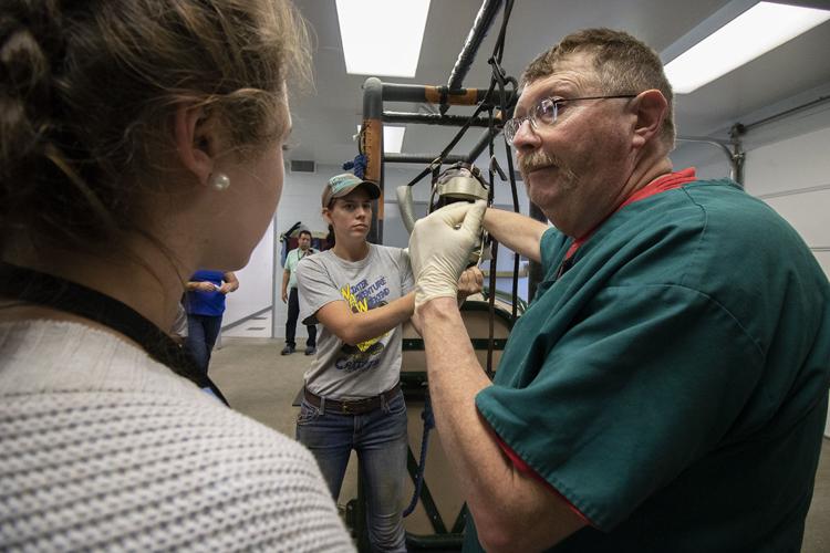 Morehead State University’s Vet Tech program ranked nationally | Life ...