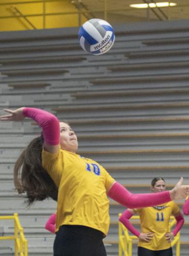MSU volleyball looks to the finish at the top | News ...