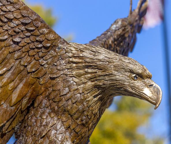 A new eagle has landed | Life & Arts | thetrailblazeronline.net