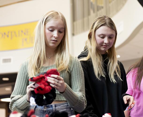 Plushies for Valentine's Day | News | thetrailblazeronline.net