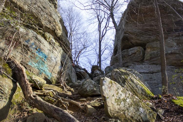 Lockegee is multi-purpose beauty | Life & Arts | thetrailblazeronline.net