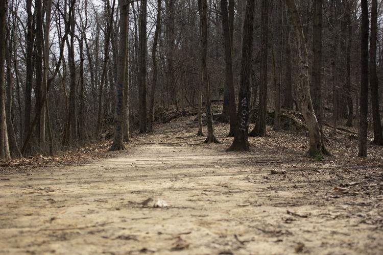 Lockegee is multi-purpose beauty | Life & Arts | thetrailblazeronline.net