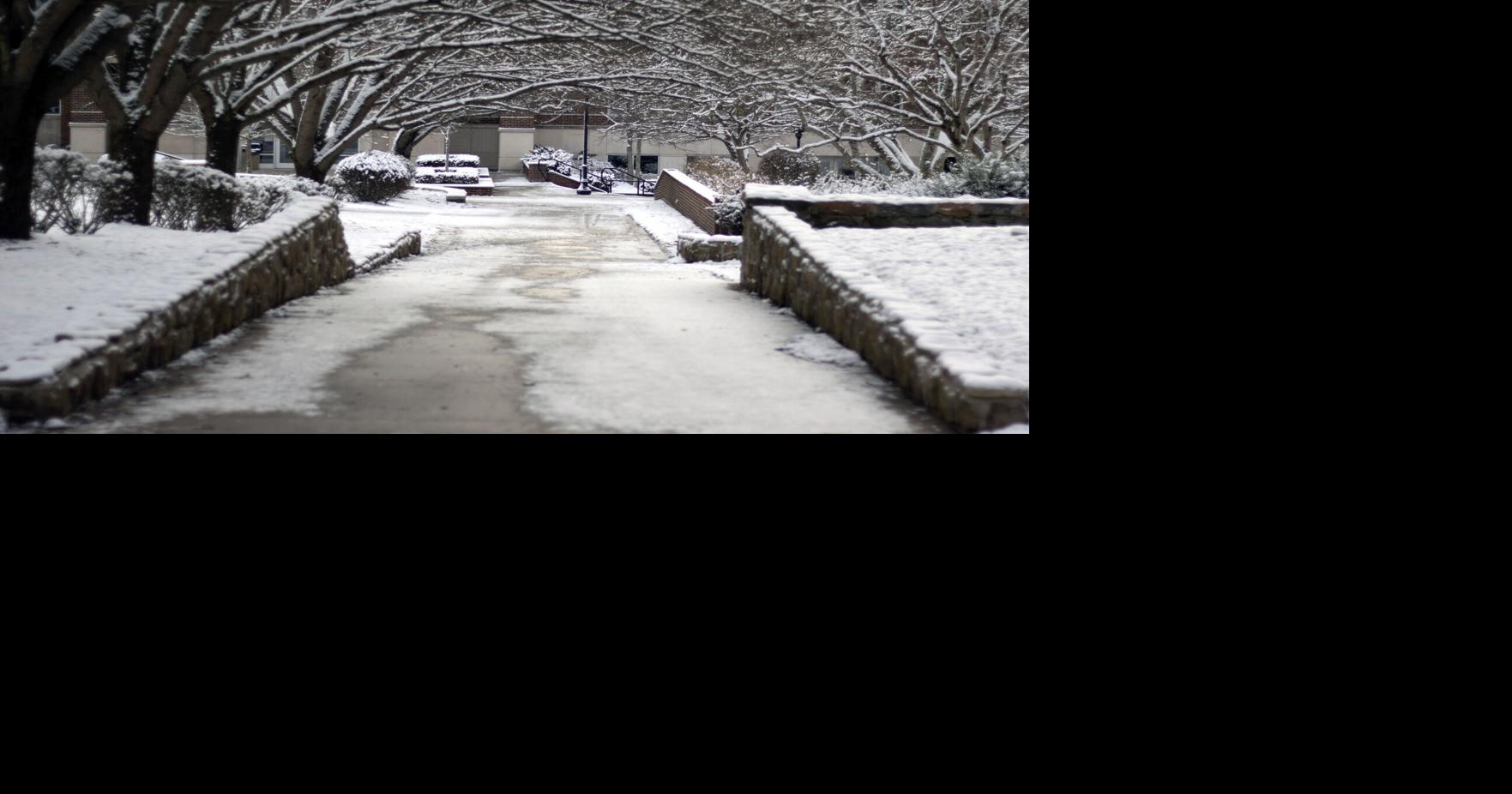 Early morning MSU snow day | Gallery | thetrailblazeronline.net