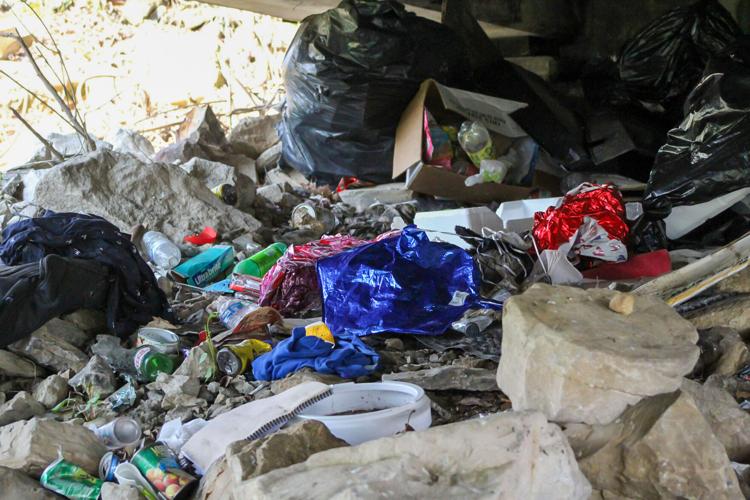 Earth Day Clean-up | Life & Arts | thetrailblazeronline.net