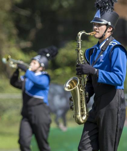 Lewis County Marching Band roars into Blue and Gold | News ...