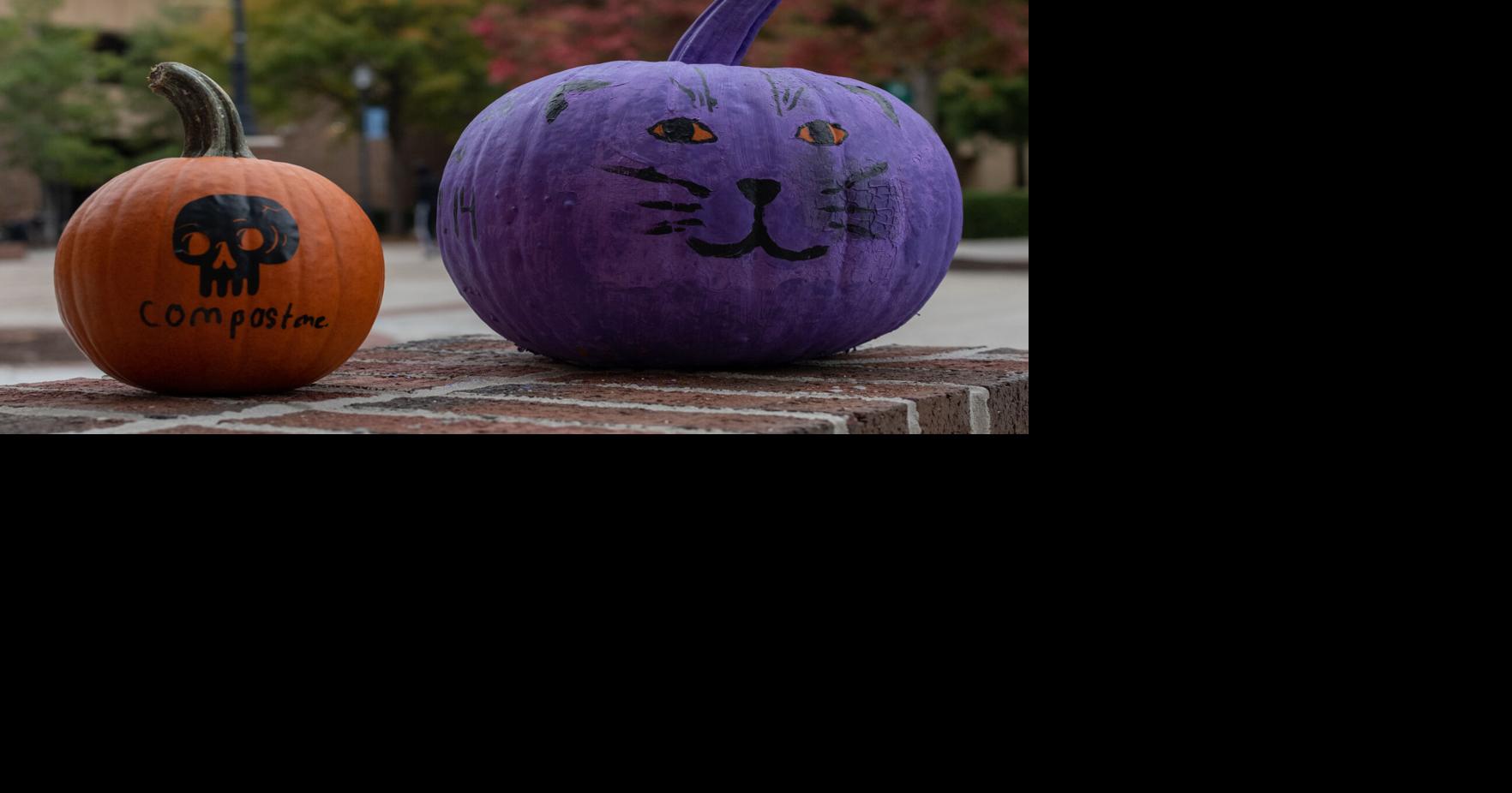 Here Is What To Do With The Rotting Pumpkins On Your Porch | Features ...