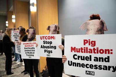 peta protest