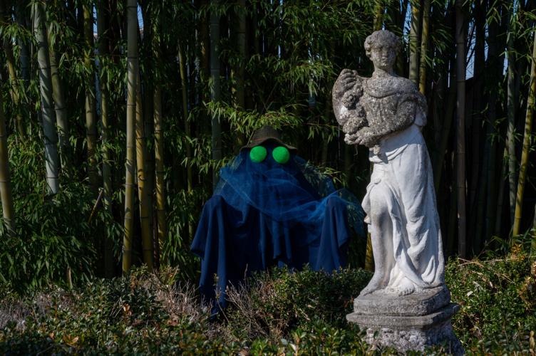 Old Green Eyes: Chickamauga’s New Cryptid-Themed Festival | News ...