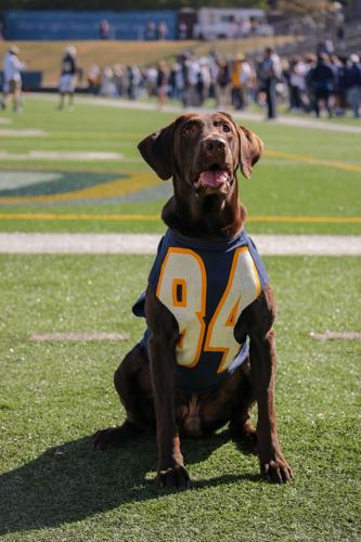 UTC vs Furman Football 2023 | Photo Gallery | theutcecho.com