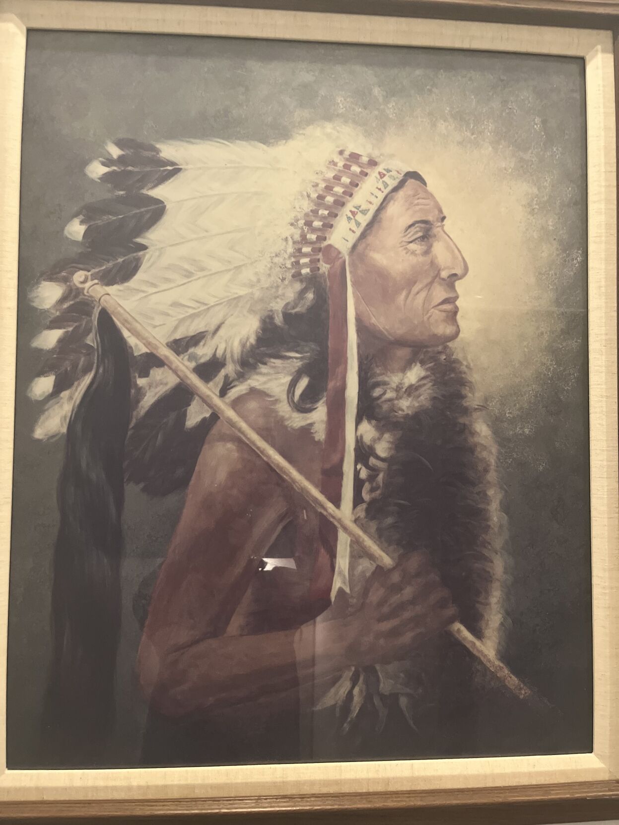 History Erased: The Cost of Assimilation | Features | theutcecho.com