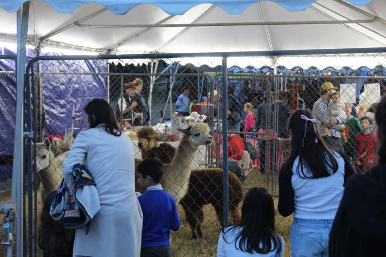 Hamilton County Little Debbie Fair | | theutcecho.com